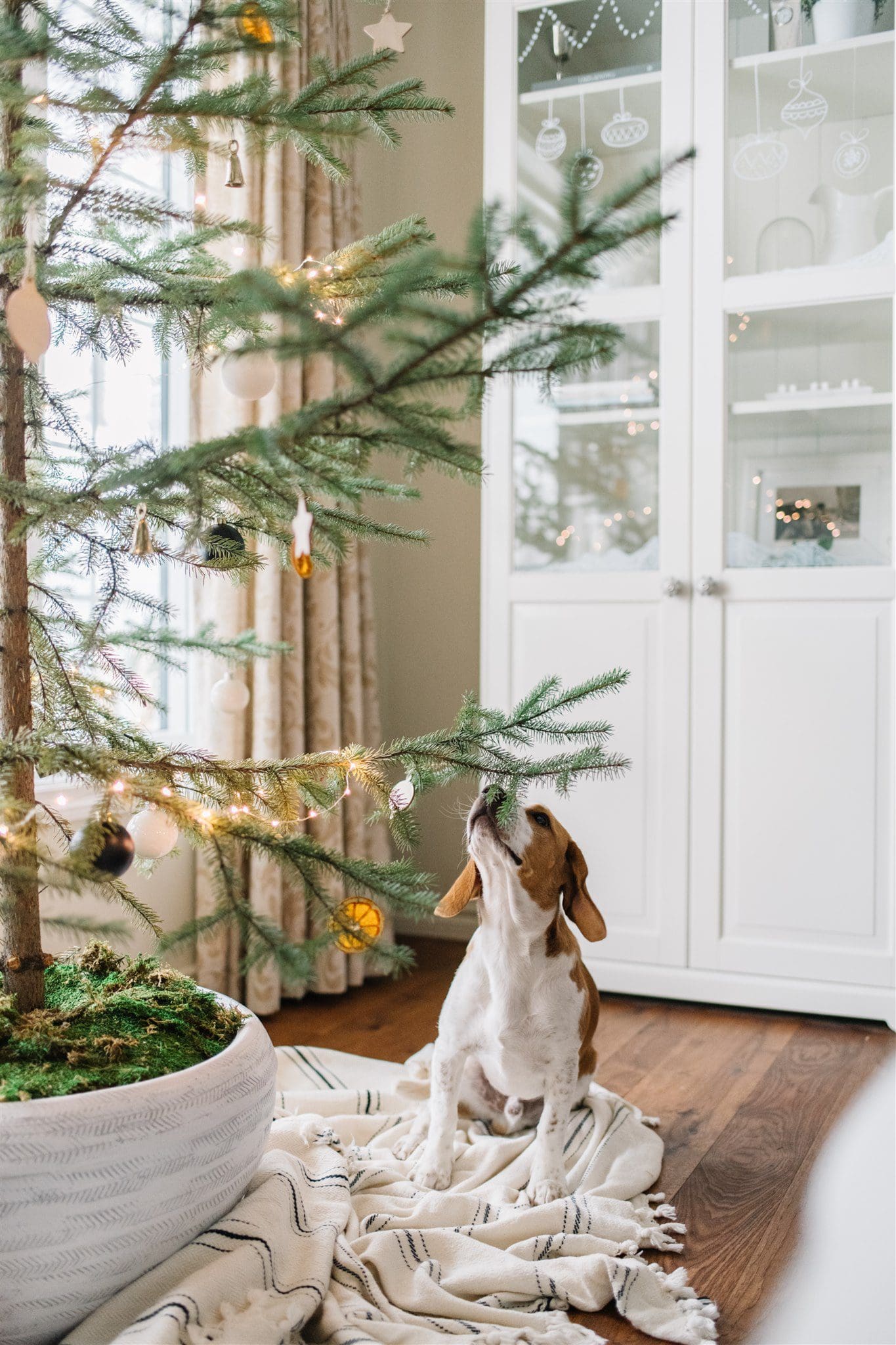 Holiday Hosting Checklist - 10 Ways to Make Guests Feel Welcome - The ...